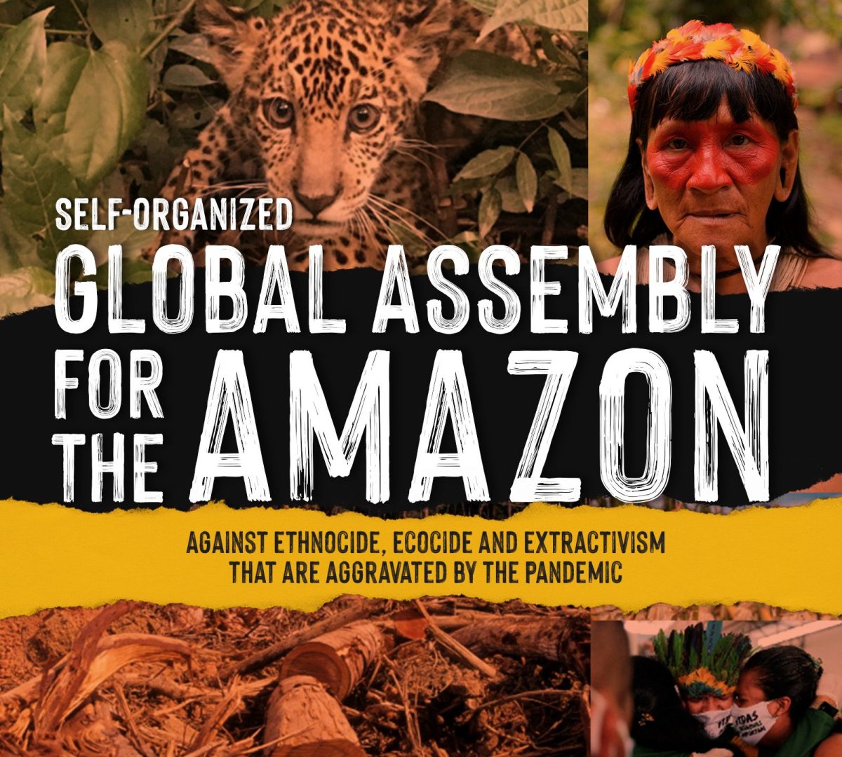 Self-call to the First Global Assembly for the Amazon – Asamblea ...