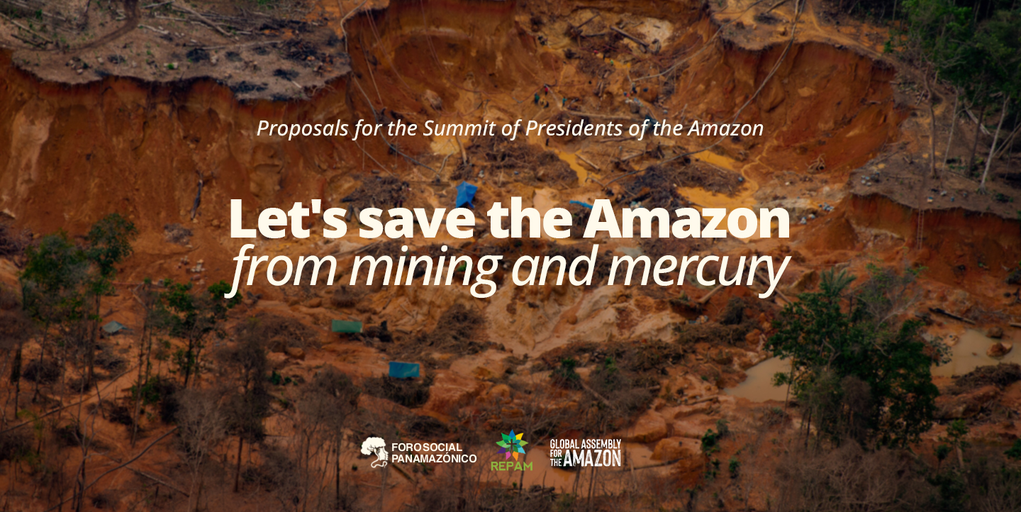 Let’s save the Amazon from mining and mercury – Asamblea Mundial por la ...