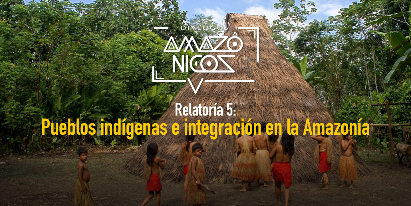 Pueblos indígenas e integración en la Amazonía – Asamblea Mundial por ...